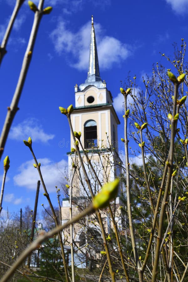 From a different angle stock photo. Image of cherry, green - 95960798