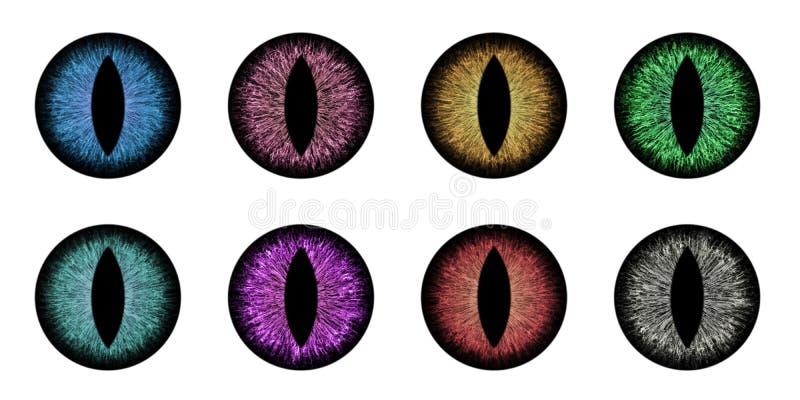 Different Animal Eyes Iris Macro Illustration without Light Spot Stock ...