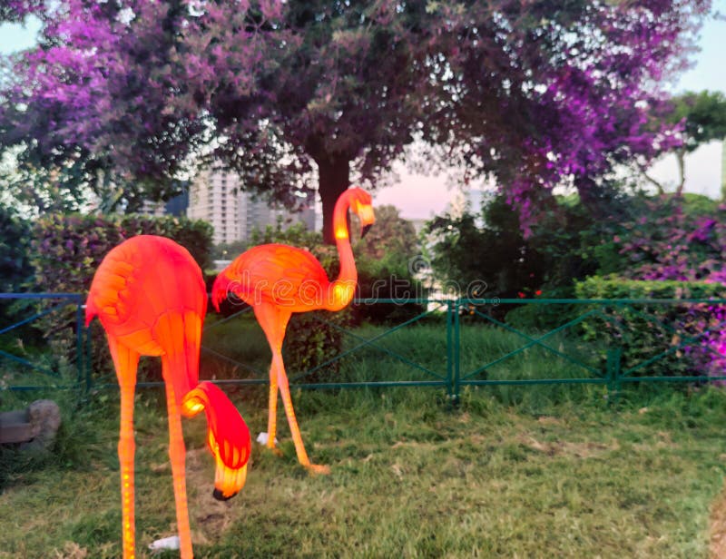 Different Animals in Alice in Wonderland Stock Image - Image of ...