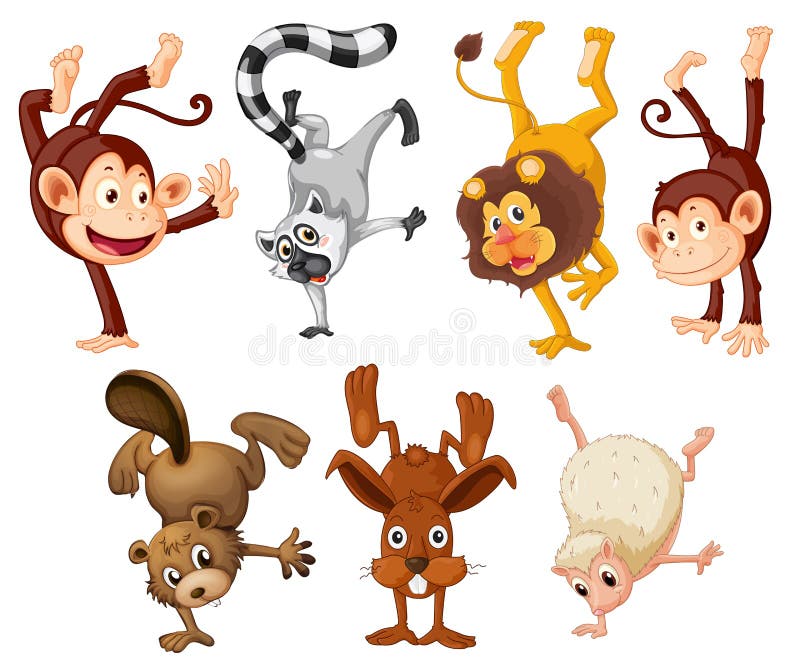 Different Animals Doing Handstands Stock Vector - Illustration of seven ...