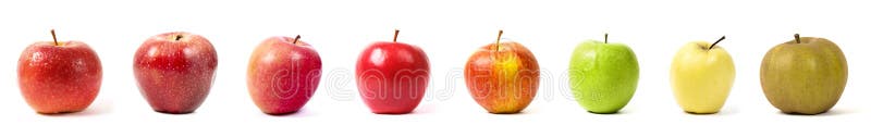 Different Apple Varieties on White Background Stock Photo - Image of ...
