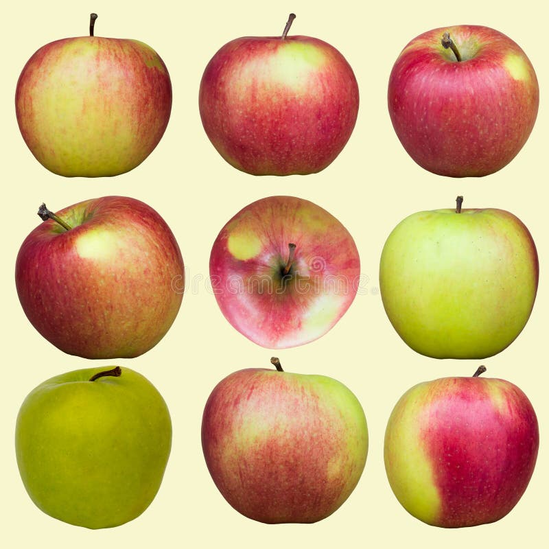 Nine apples stock image. Image of glowing, apples, fruit - 3385457