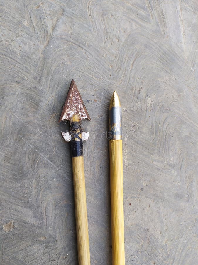 Different Arrows 1 Point for Practice and the Other for Hunting Stock ...