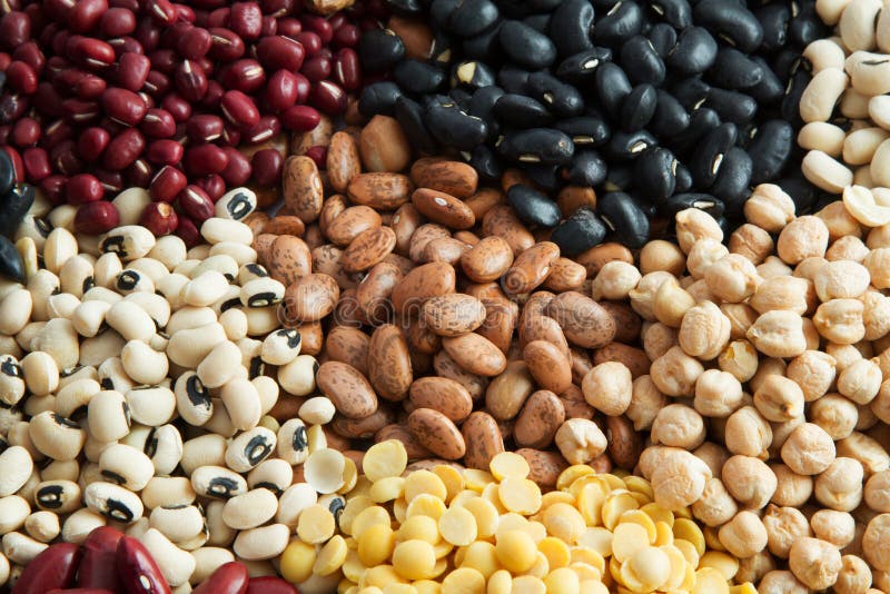 Different Bean Varieties. White, Red and Brown Beans on Plates on a ...