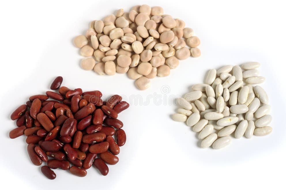 Different beans stock image. Image of protein, beans - 12988775