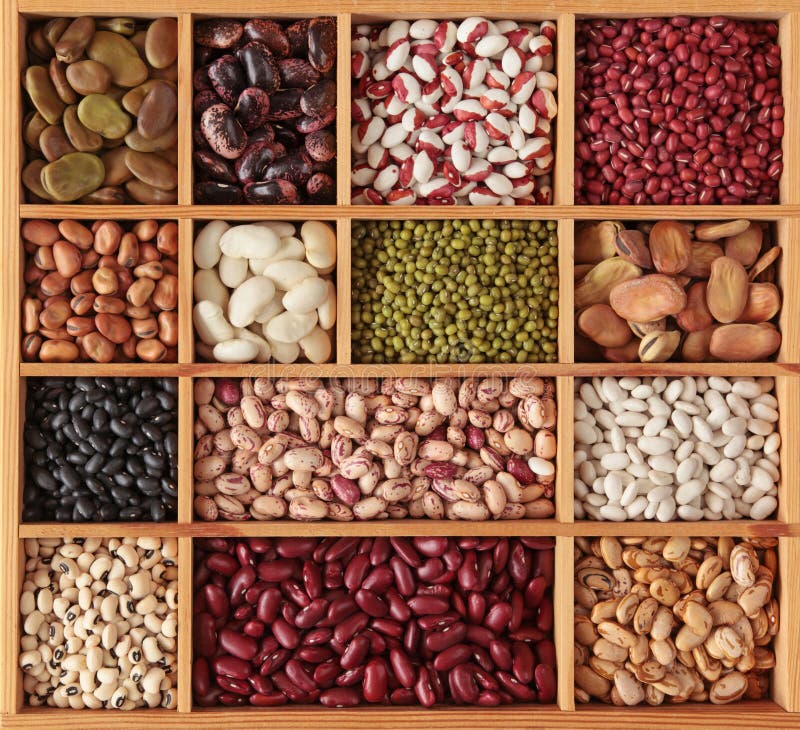 Different beans stock image. Image of beans, runner, broad - 23289447