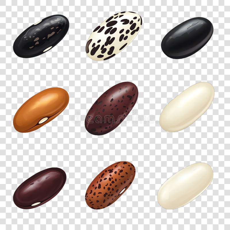 Different Beans Set Illustration Stock Image - Illustration of plants ...