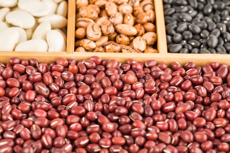 Different beans stock photo. Image of bean, agricultural - 265415818