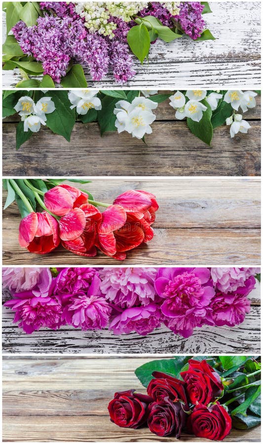 Different Beautiful Flowers Stock Photo - Image of rustic, concept ...