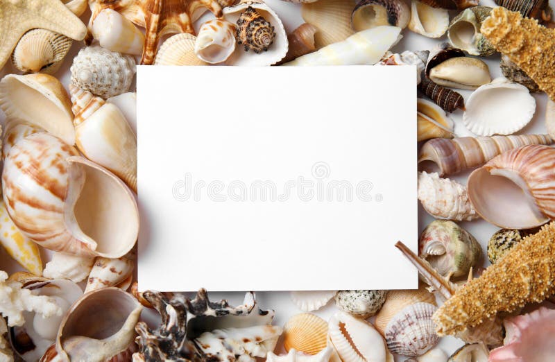 Different Beautiful Sea Shells and Blank Card. Space for Text Stock ...