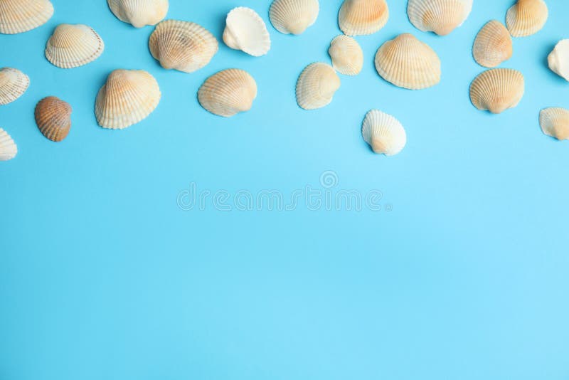 Different Beautiful Sea Shells on Blue Background, Flat Lay. Space for ...