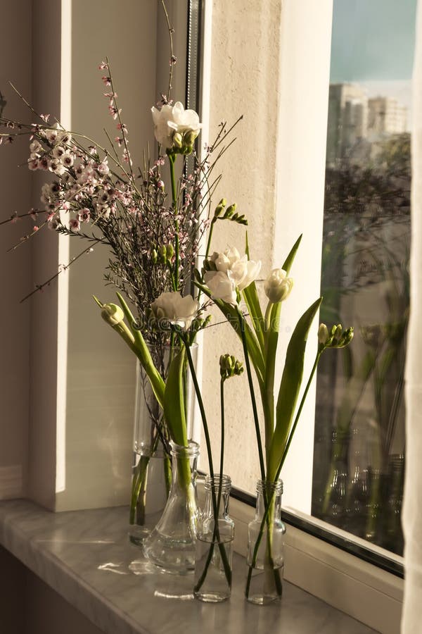Different Beautiful Spring Flowers on Windowsill Indoors Stock Image ...