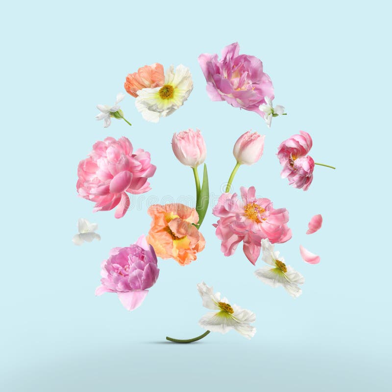 Different Beautiful White Flowers Falling on Light Blue Background ...