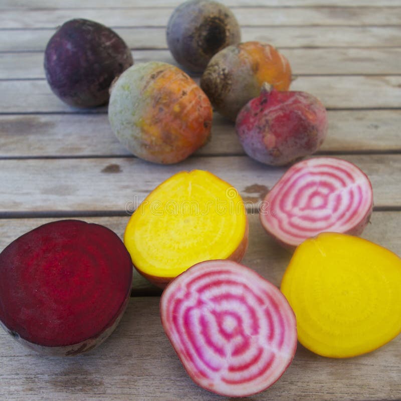 Different beets stock image. Image of tree, sweet, delicious - 44463353