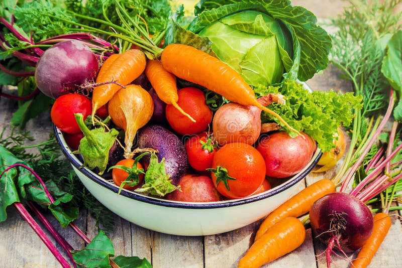Different Bio Vegetables. Selective Focus. Food Nature. Stock Image ...