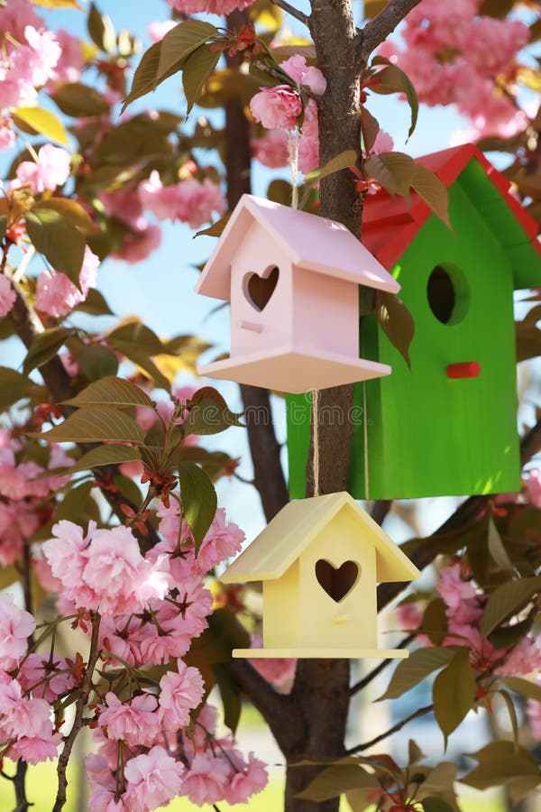 Different Bird Houses on Tree Branches Outdoors Stock Image - Image of ...