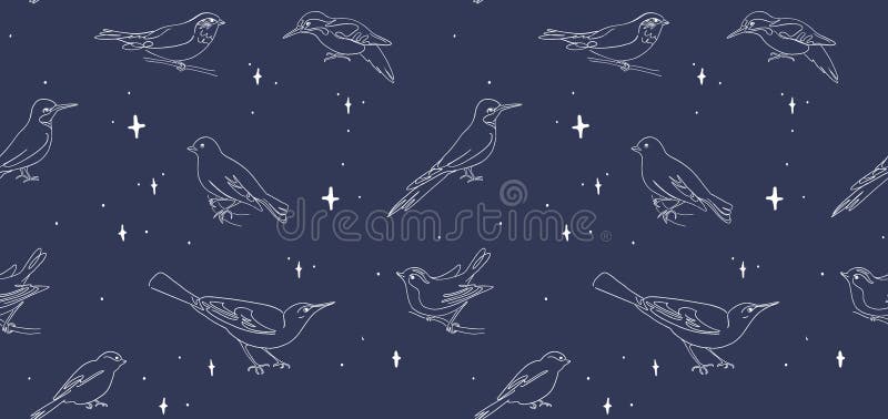 Different Birds Seamless Pattern, Line Vector Illustration on Dark Blue ...