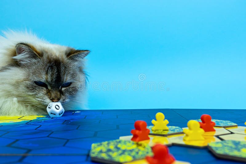 Board Game Components on a Game Field with an Interested Cat. Stock ...