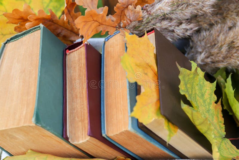 Different Books and Maple Leaves, Closeup. Autumn Atmosphere Stock ...