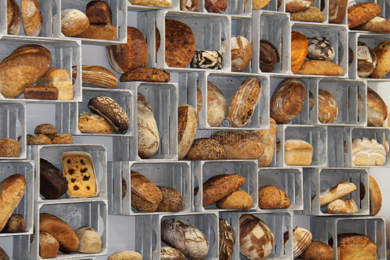 Different Bread Loaves. stock image. Image of loaf, baking - 247718809