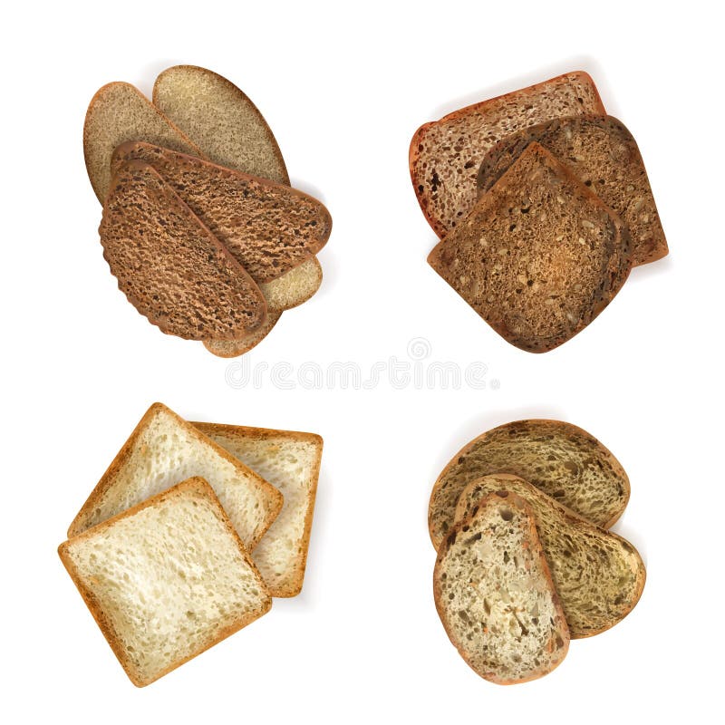 Different Bread Slices Set stock vector. Illustration of flour - 251368755