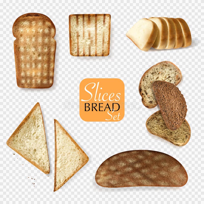 Different Bread Transparent Set Stock Vector - Illustration of brown ...