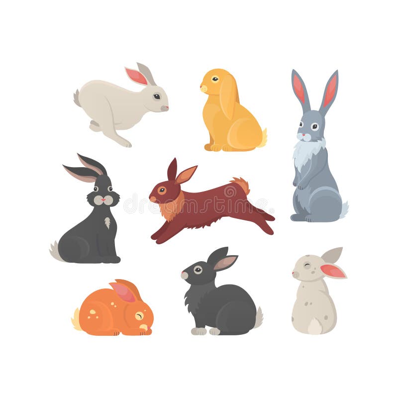 Different Breeds of Cute Rabbits Vector Illustration. Stock Vector ...