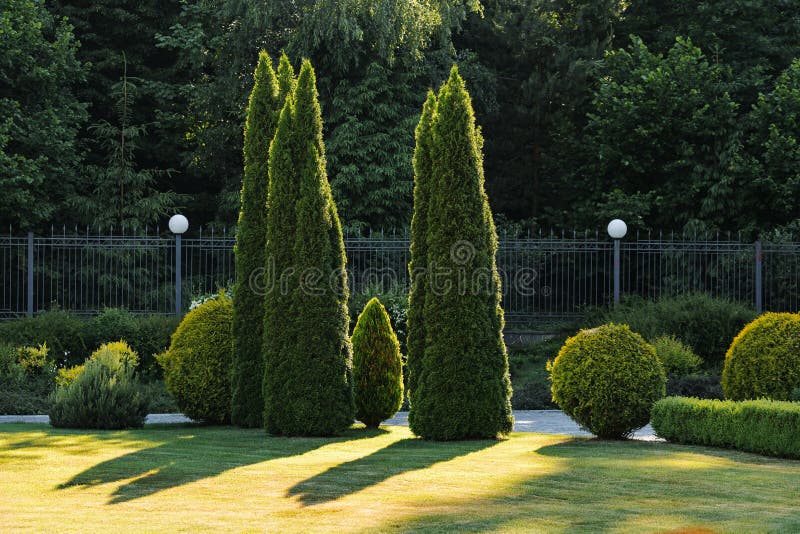 Different Bushes in the Landscape Design of the Park Stock Image ...