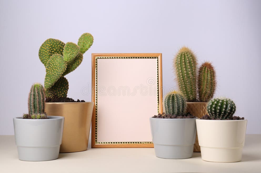 Different Cacti in Pots and Empty Frame on Beige Table Stock Photo ...