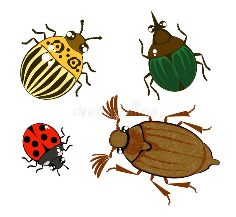 Cartoon Colorado Bug Stock Illustrations – 648 Cartoon Colorado Bug ...