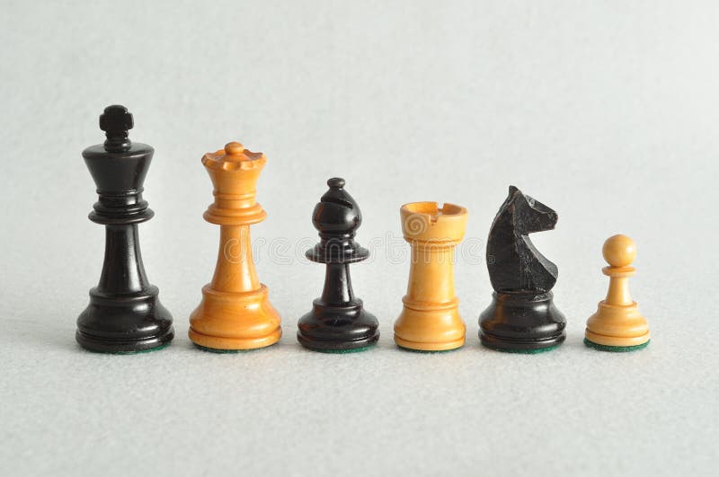 The different chess pieces stock photo. Image of collection - 101471732