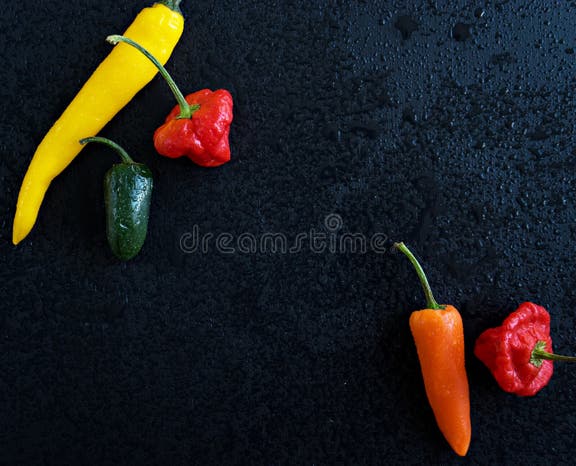 Different Color Chili Peppers on Black Background Stock Image - Image ...