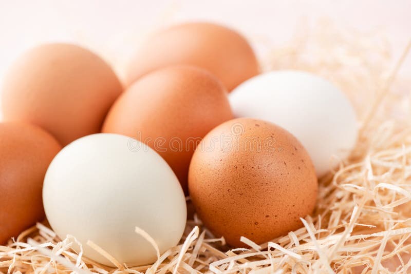 Different color eggs stock photo. Image of shell, boiled - 210568276