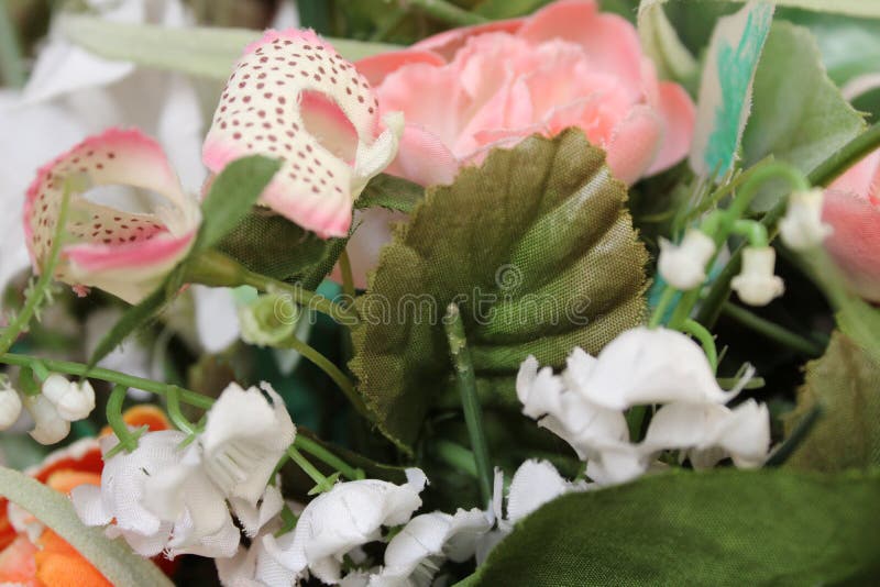 Different Color Flowers stock image. Image of flowers - 245461473