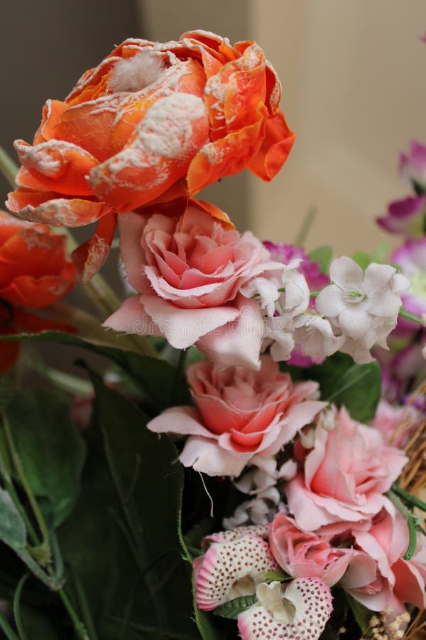 Different Color Flowers stock photo. Image of pink, flowers - 245461128