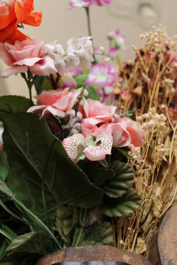 Different Color Flowers stock image. Image of orange - 245461173