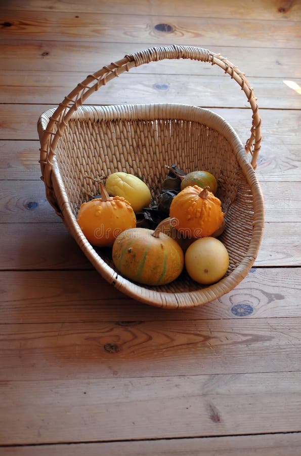 Different Color Pumpkings in Basket Stock Image - Image of fall ...