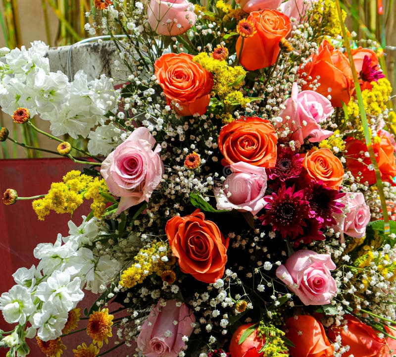 Different Color Roses and Chrysanthemums Stock Image - Image of ...