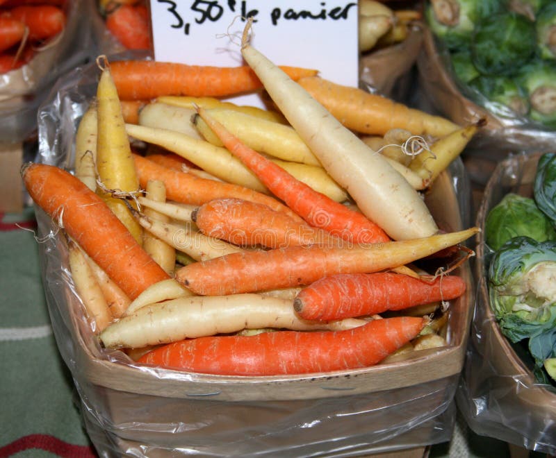 Different Colored Carrots in Market Stock Image - Image of carrots ...