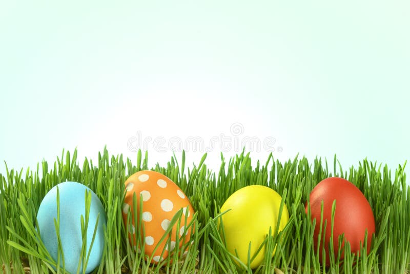 Different Colored Easter Eggs Lie in a Grass Stock Image - Image of ...