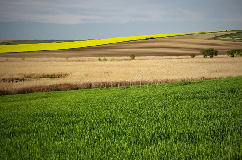 Different colored fields. stock photo. Image of background - 73690056