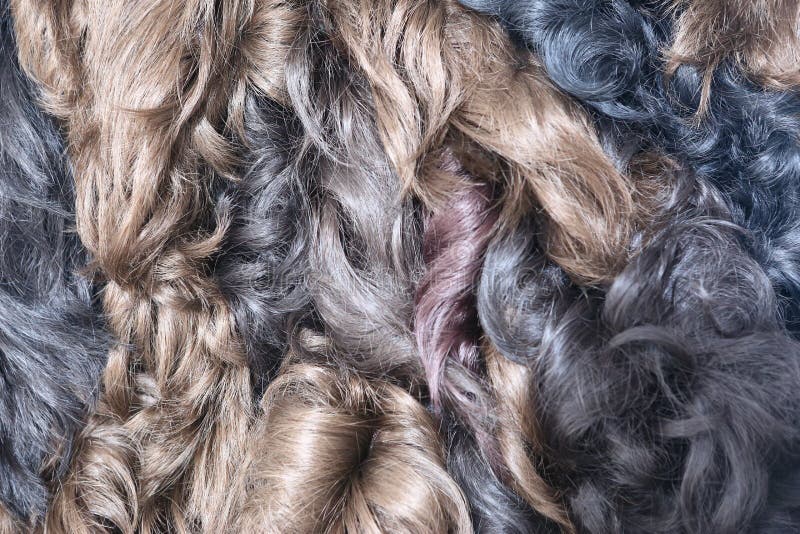 Different Colored Hair Texture Close Up Photo Stock Photo - Image of ...