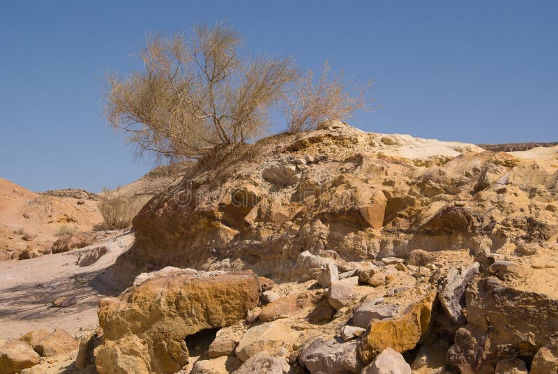 Different Colored Sand Picture. Image: 6756864