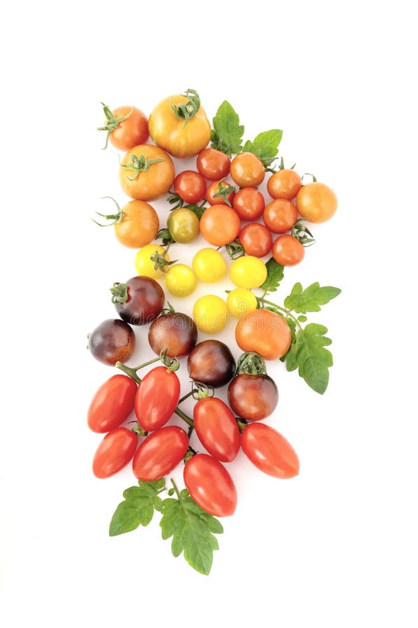 Different Colorful Cherry Tomatoes Isolated on White Background. Plum ...