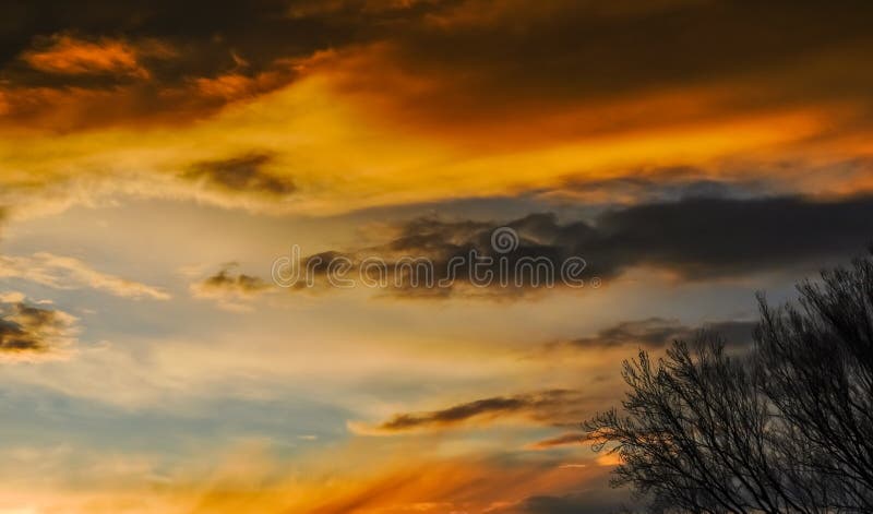 Different Colorful Clouds at the Sunset with a Tree Stock Photo - Image ...