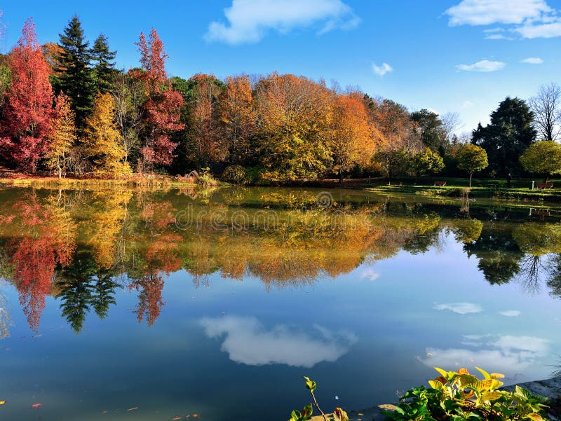 Different Colors of Autumn Scenery Stock Image - Image of nature, lakes ...