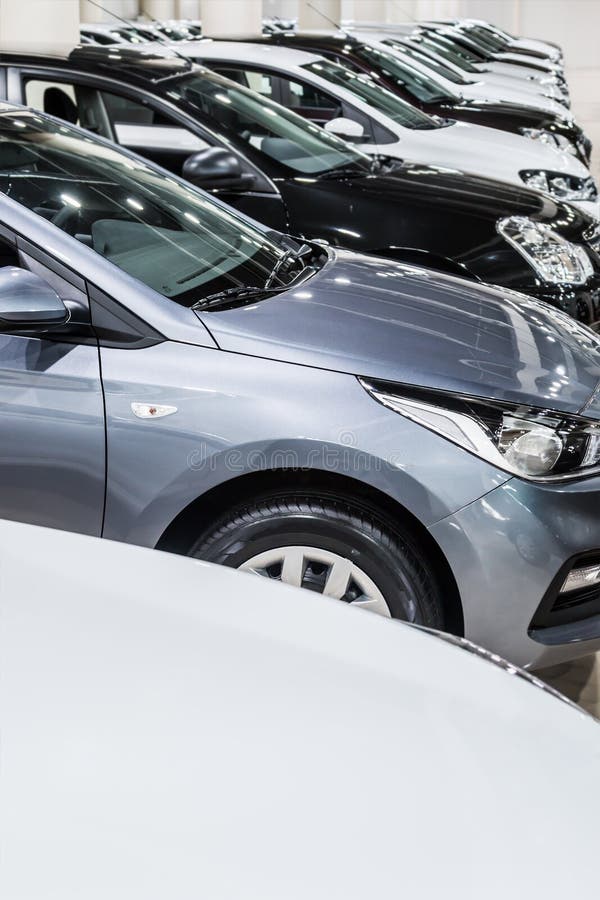 Different Colors and Models of Cars in the Dealership Stock Photo ...