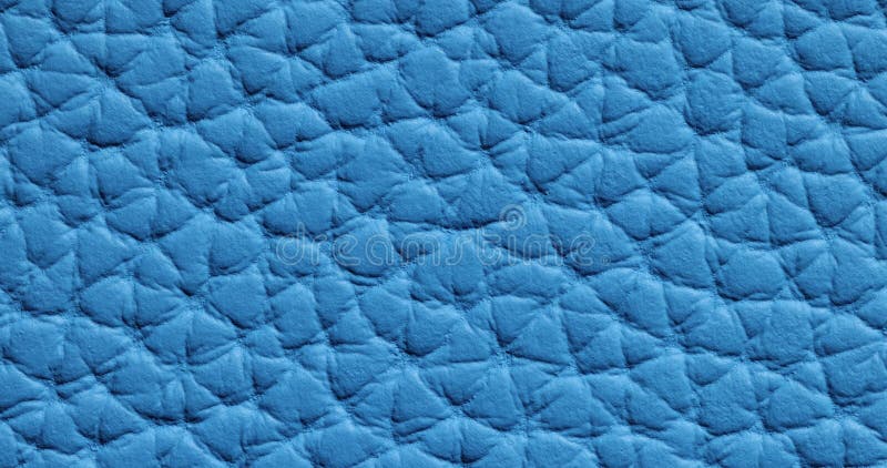 Different Colors of Skin Samples Quickly Change Stock Video - Video of ...