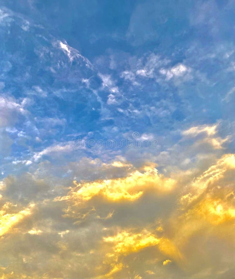 Budyroy Budy (Meloncocomelon30) - Photos