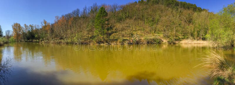 The Different Colors of the Water of a Small Swamp Stock Image - Image ...